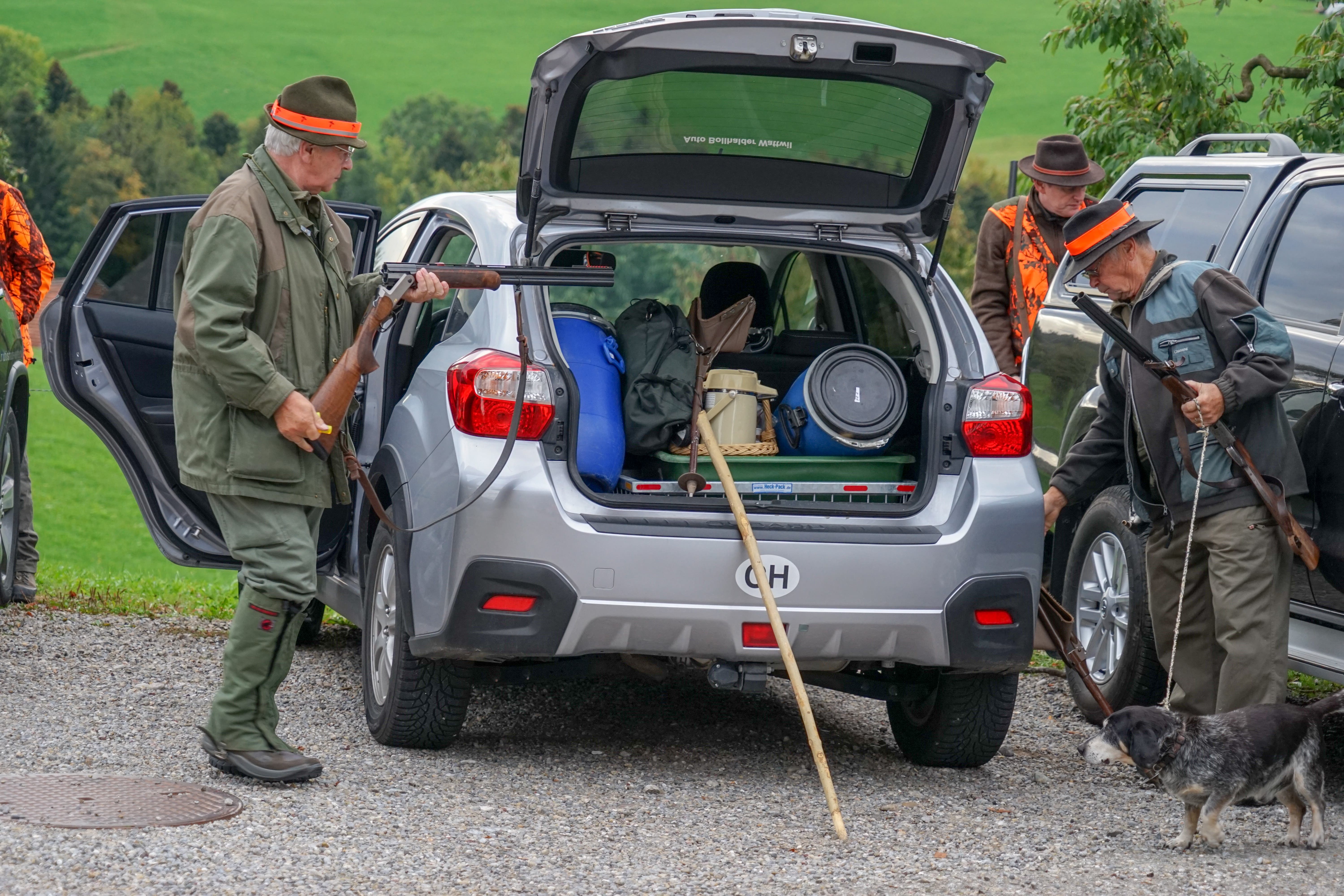Auf der Treibjagd bei Lütisburg Auf der Treibjagd bei Lütisburg